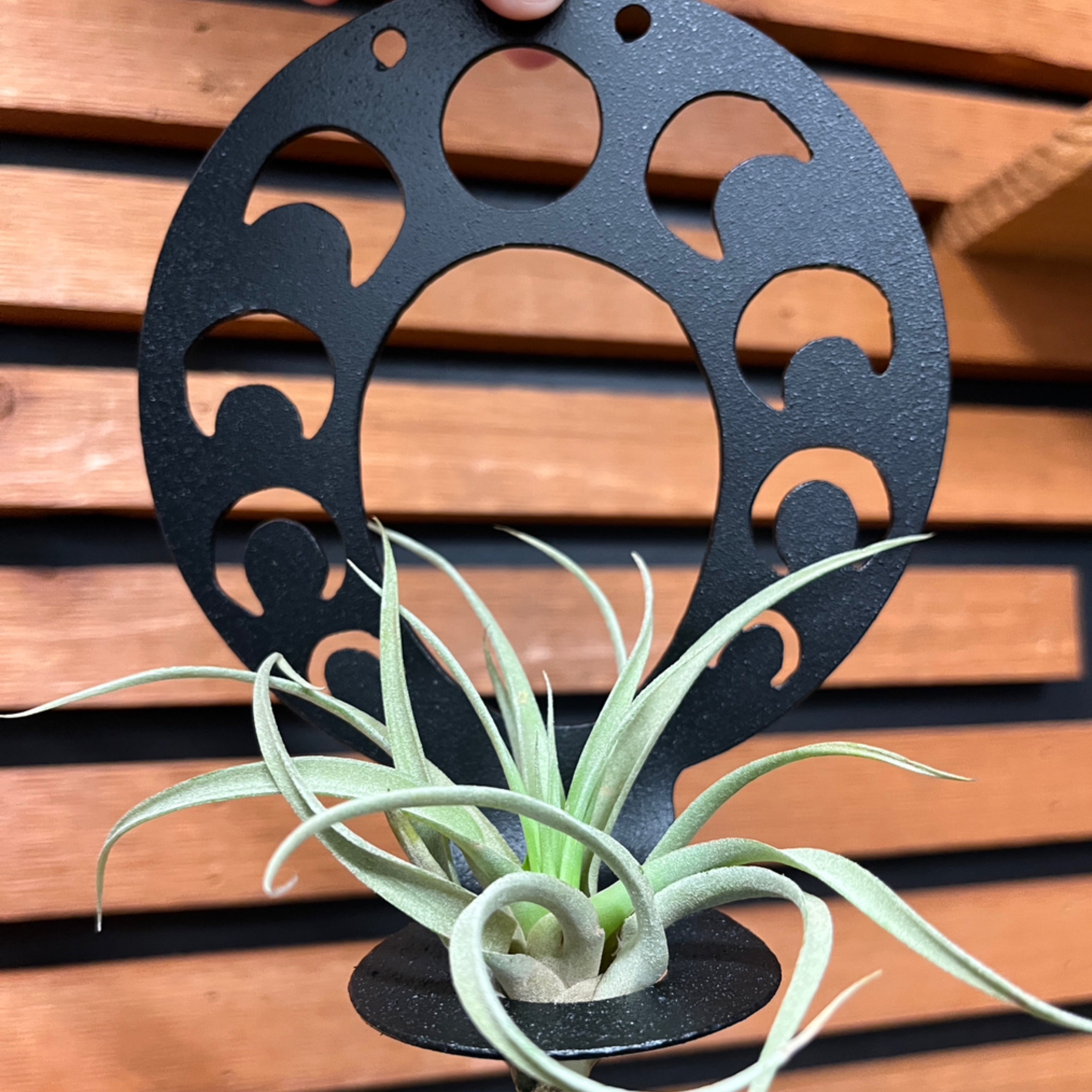 moon phase prop tube | Backwoods Weld Co